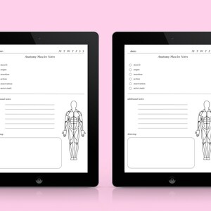 Digital Anatomy Notes Sheet, Muscles Study Tool, Nursing School & Grad ...