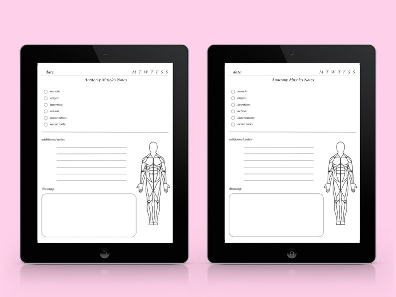 Digital Anatomy Notes Sheet, Muscles Study Tool, Nursing School & Grad ...