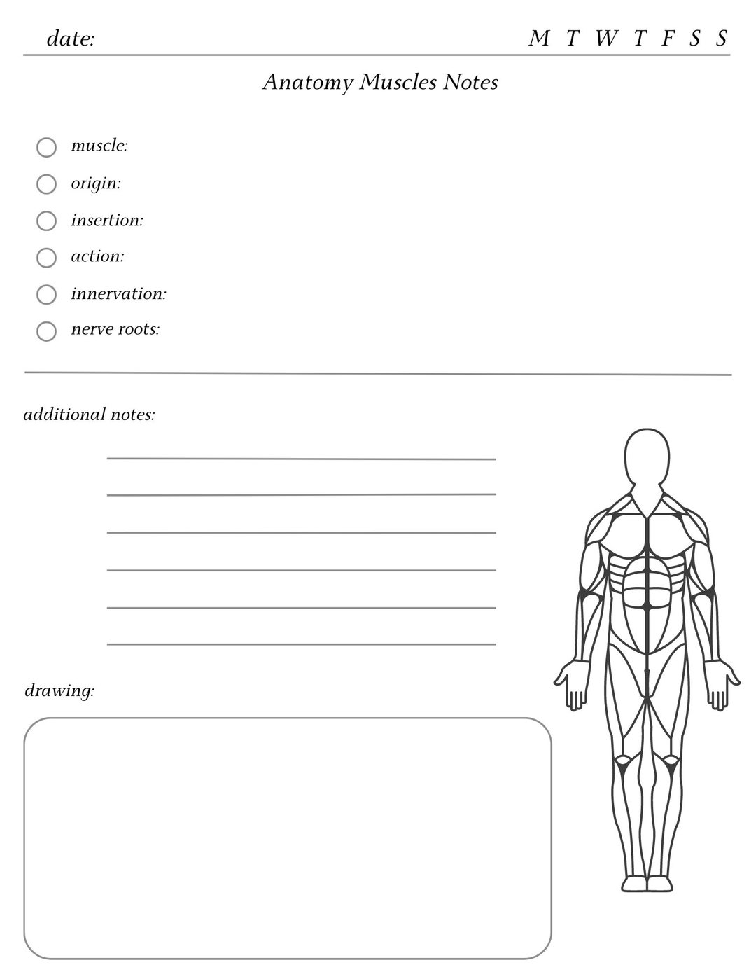 Digital Anatomy Notes Sheet, Muscles Study Tool, Nursing School & Grad ...