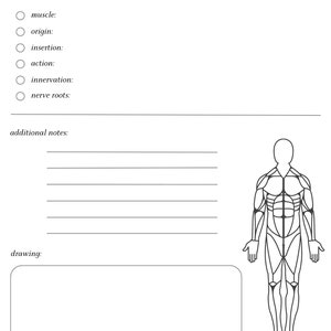Digital Anatomy Notes Sheet, Muscles Study Tool, Nursing School & Grad ...