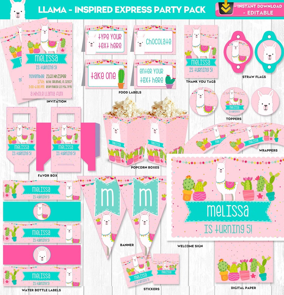 Llama Party Decorations Llama Bundle Party Package A Whole Llama Fun ...