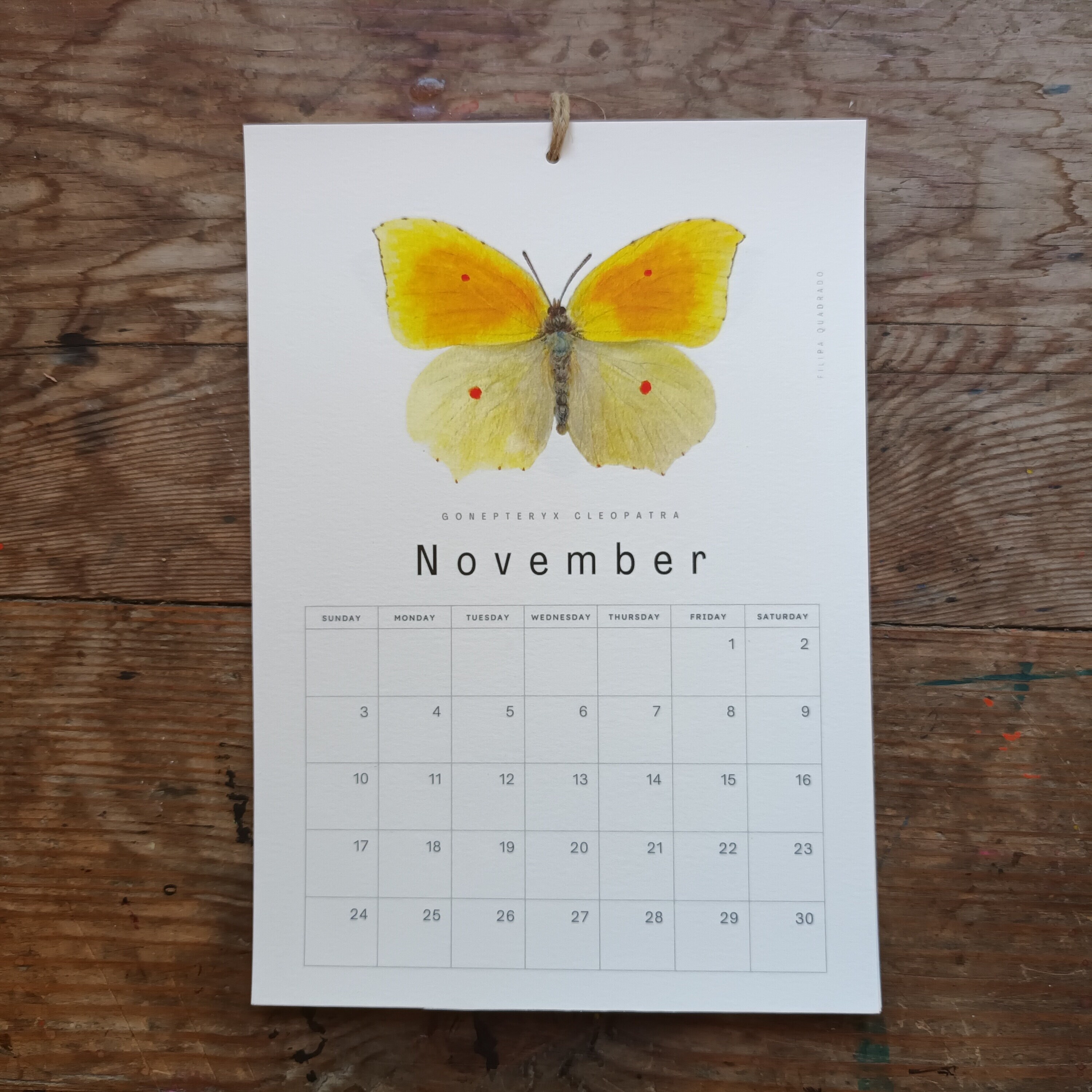 2024 Butterfly Calendar A5, 2024 Calendar, Butterflies Calendar - Etsy