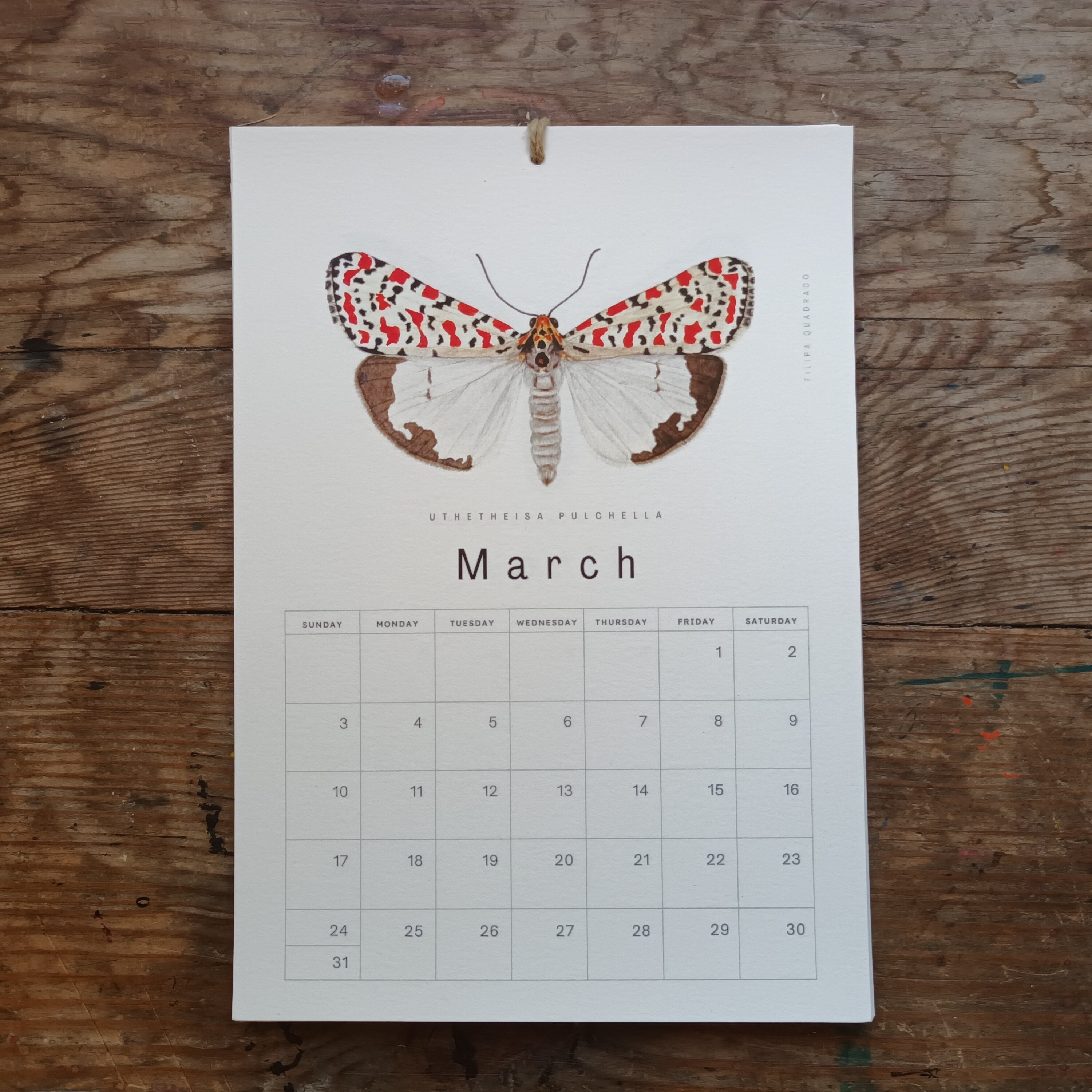 2024 Butterfly Calendar A5, 2024 Calendar, Butterflies Calendar - Etsy