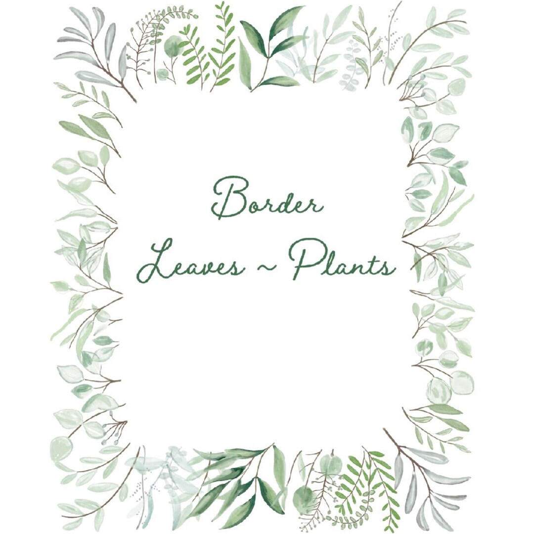 Digital Download, Border With Pretty Leaves and Plants in Watercolor ...