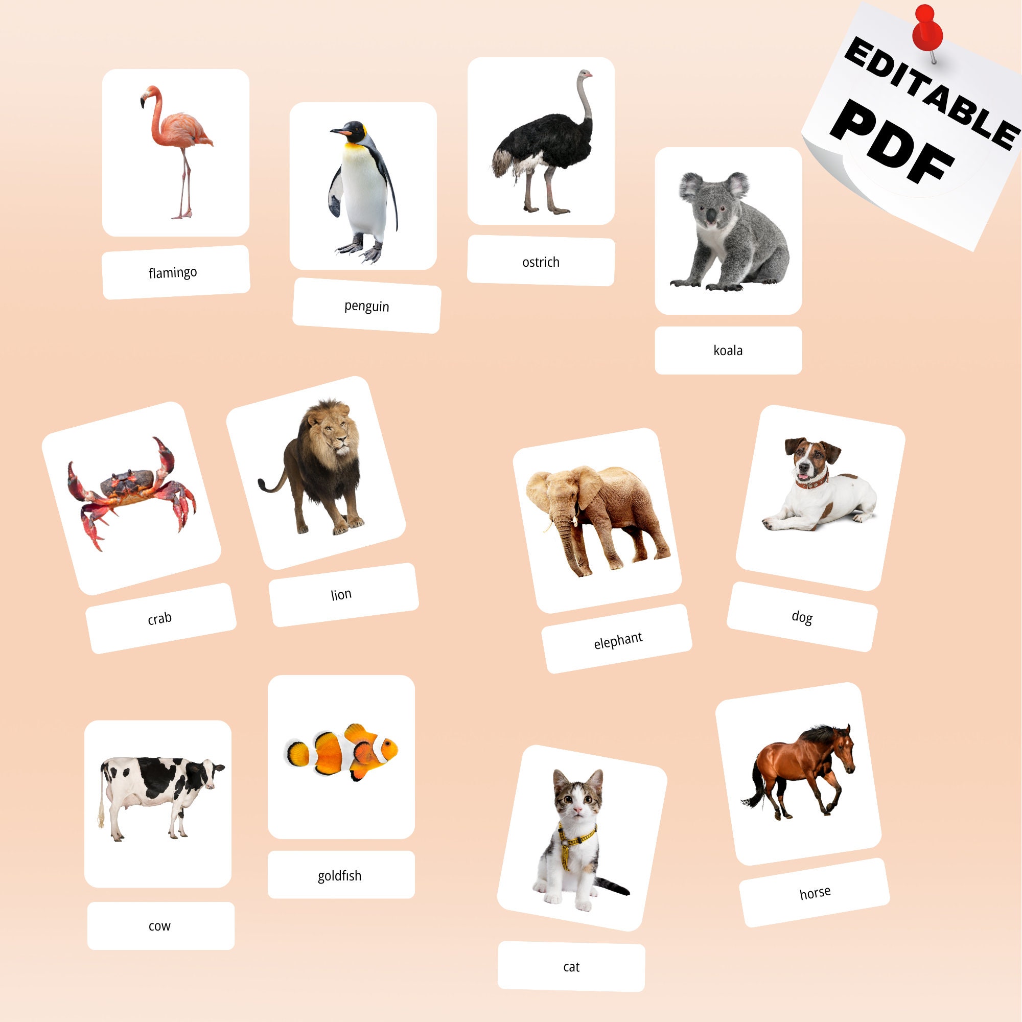 ANIMALS 72 Editable Montessori Cards Animal Cards 3-piece Cards ...