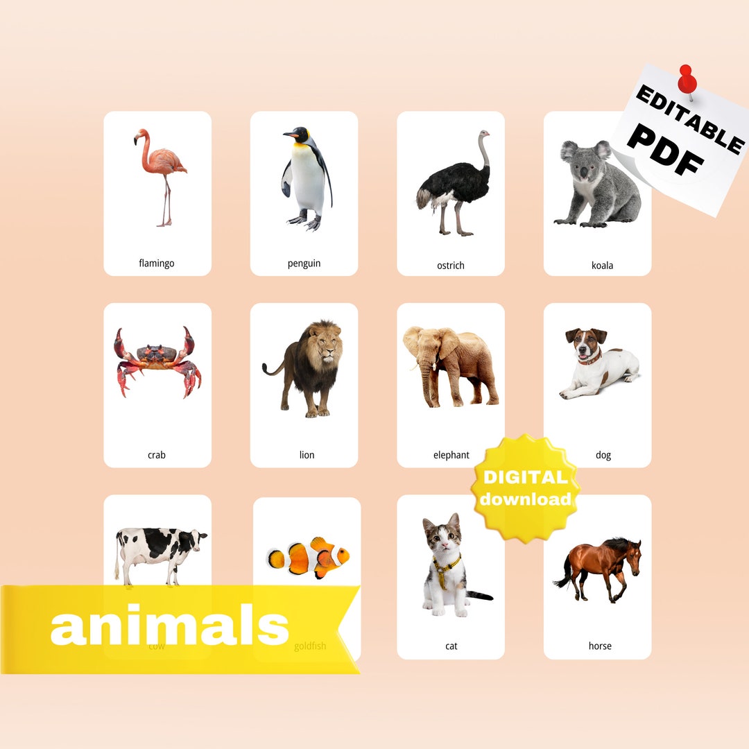 ANIMALS - 72 Editable Montessori Cards - Animal Cards - 3-piece Cards ...
