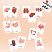18 Montessori Body Parts / Human Anatomy and Organs / 3-piece Cards ...