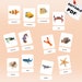 OCEAN ANIMALS / 22 Montessori Cards / Flash Cards / Naming Flashcards ...