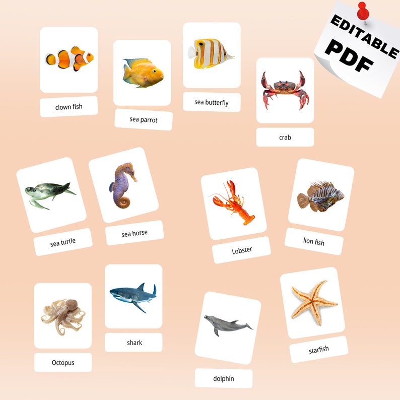OCEAN ANIMALS / 22 Montessori Cards / Flash Cards / Naming Flashcards ...