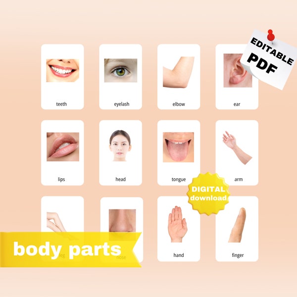 Asl Body Parts Chart - Etsy