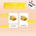 OCEAN ANIMALS / 22 Montessori Cards / Flash Cards / Naming Flashcards ...
