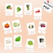 VEGETABLES (real Pictures) - 44 Editable Montessori Cards - Flash Cards ...