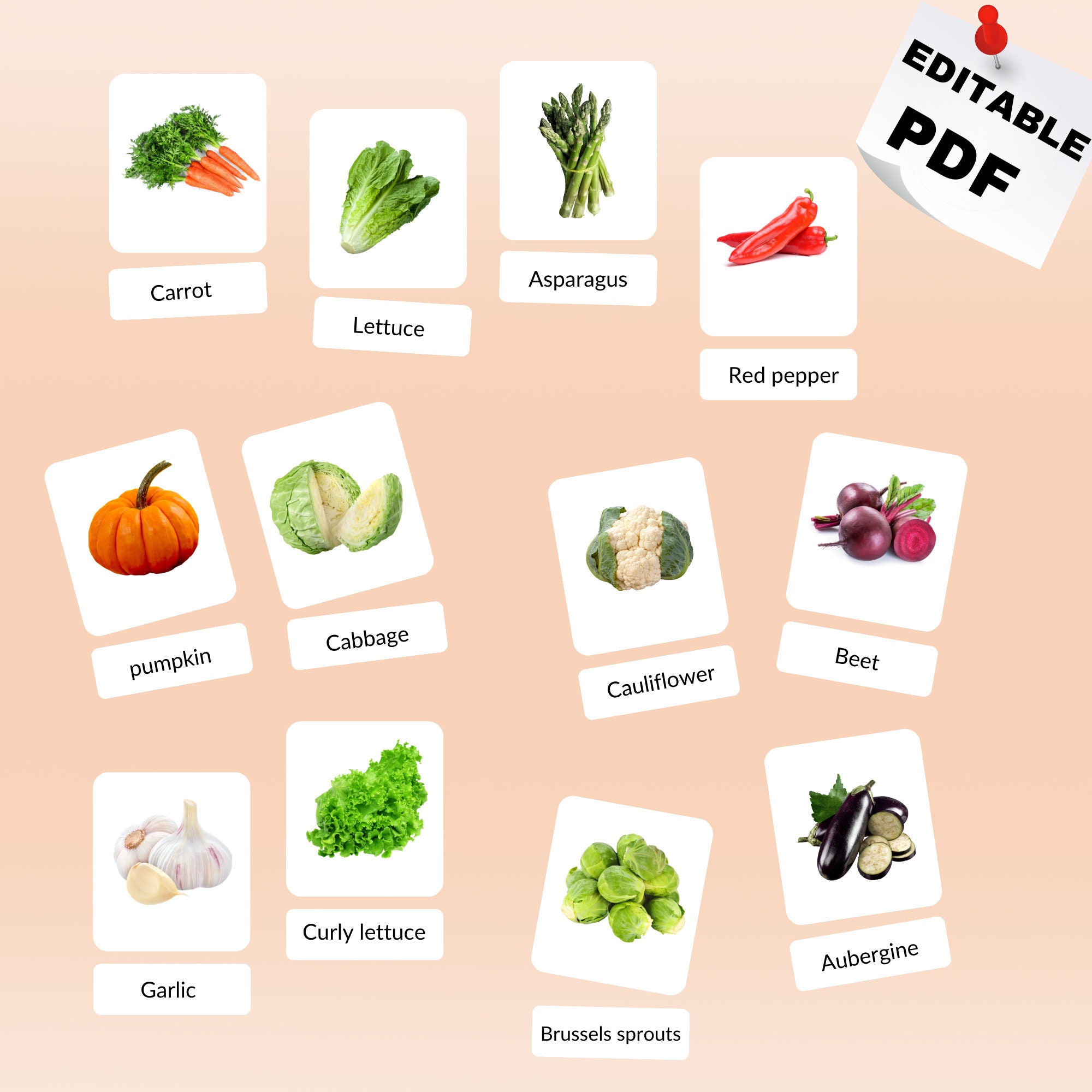VEGETABLES (real Pictures) - 44 Editable Montessori Cards - Flash Cards ...