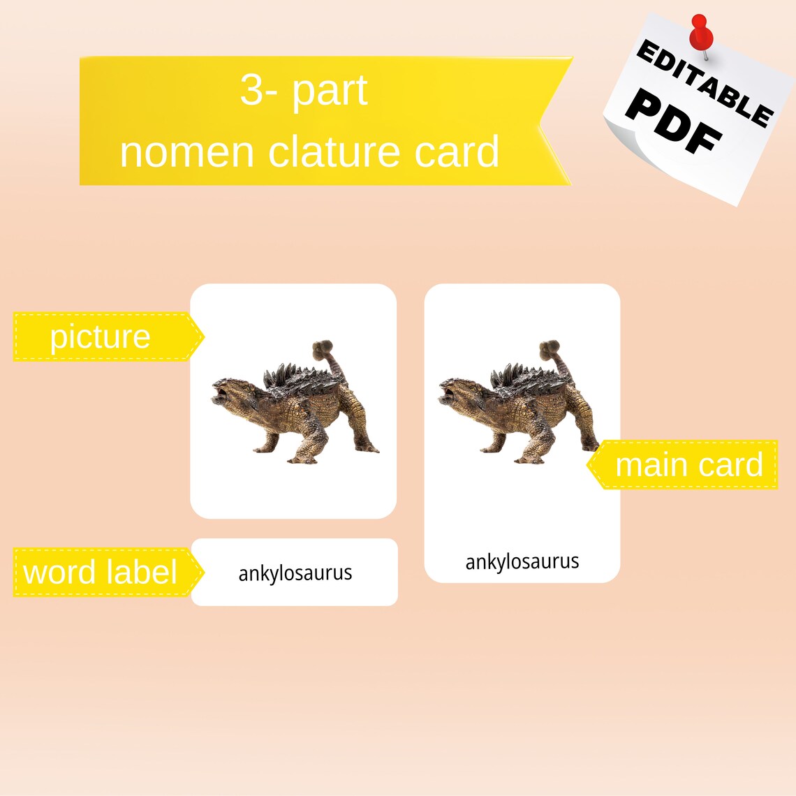 Dinosaurs / 20 Editable Montessori Cards / Flash Cards Naming ...