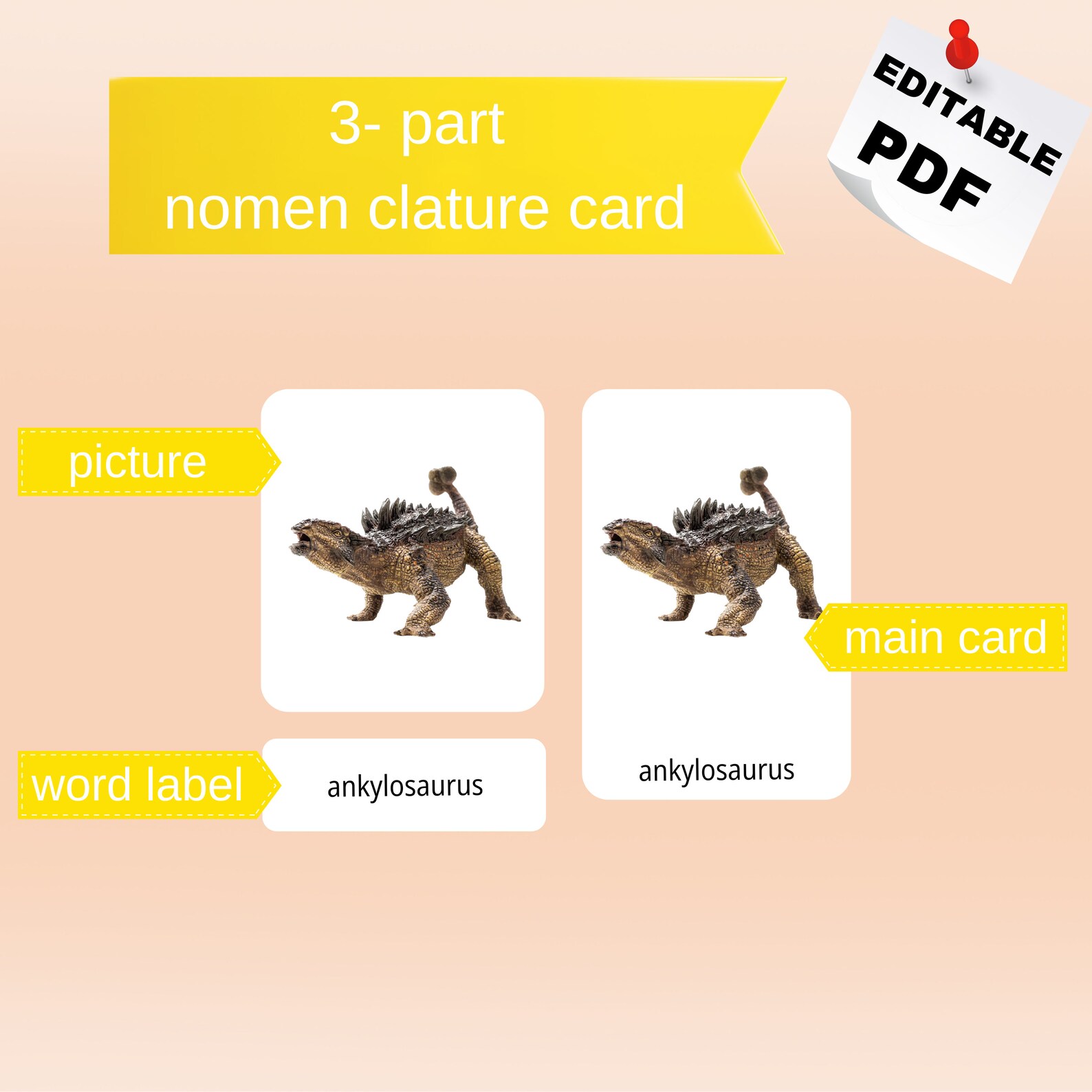 Dinosaurs / 20 Editable Montessori Cards / Flash Cards Naming ...