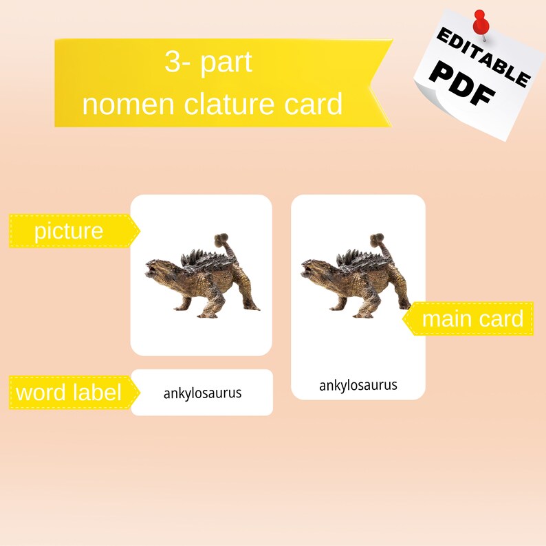 Dinosaurs / 20 Editable Montessori Cards / Flash Cards Naming ...