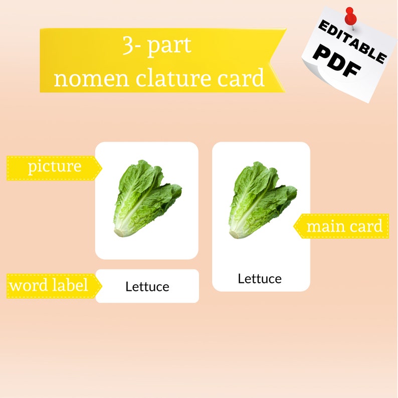 VEGETABLES (real Pictures) - 44 Editable Montessori Cards - Flash Cards ...