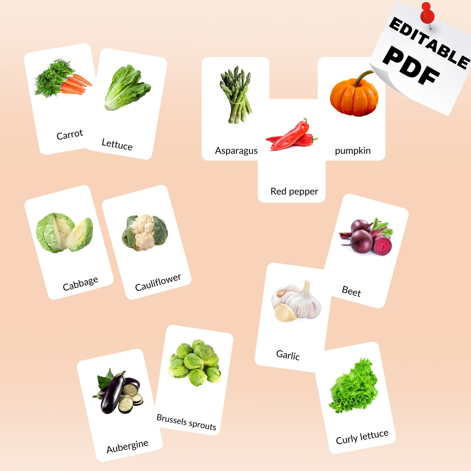 VEGETABLES (real Pictures) - 44 Editable Montessori Cards - Flash Cards ...