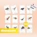 Dinosaurs / 20 Editable Montessori Cards / Flash Cards Naming ...