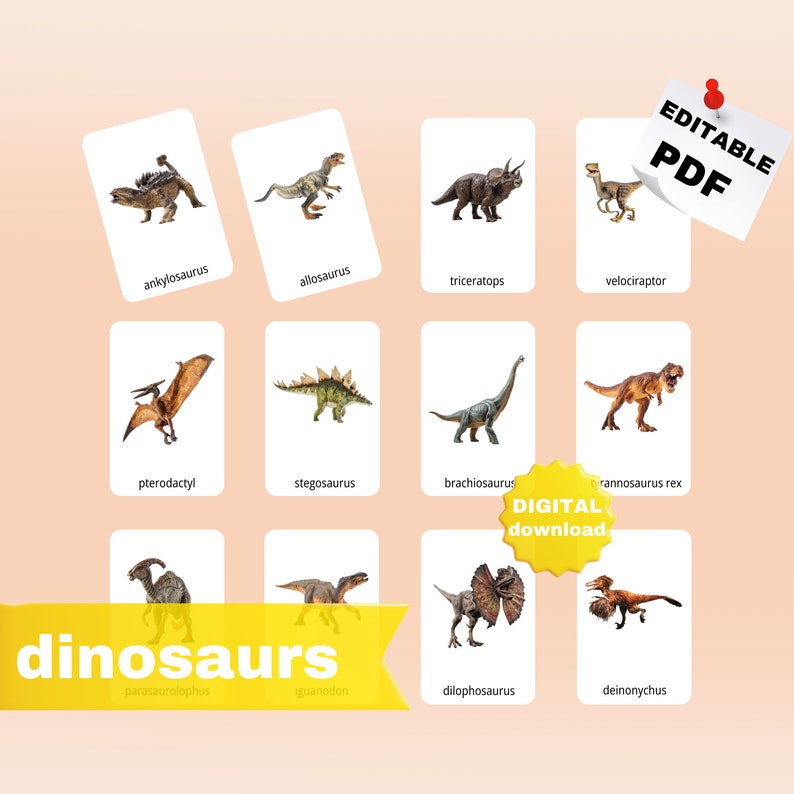 Dinosaurs / 20 Editable Montessori Cards / Flash Cards Naming ...