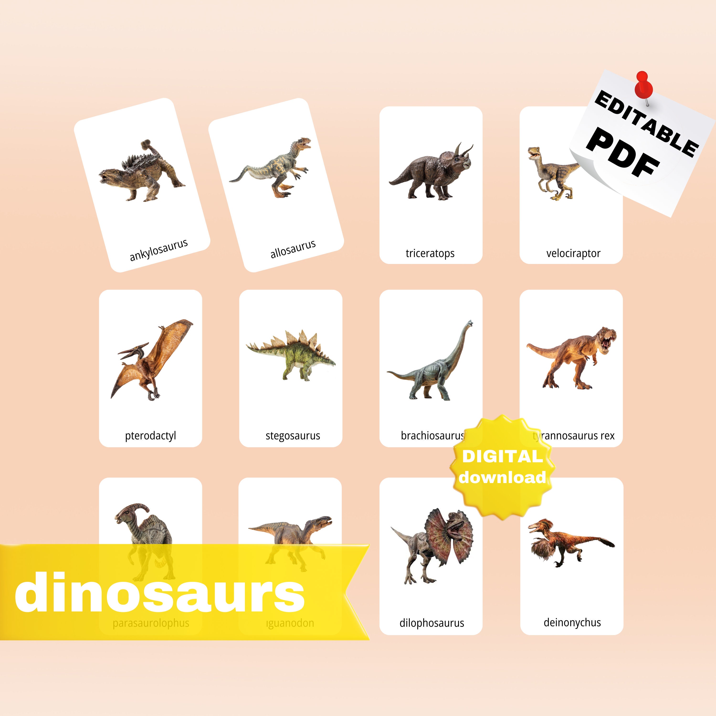 Dinosaurs / 20 Editable Montessori Cards / Flash Cards Naming ...