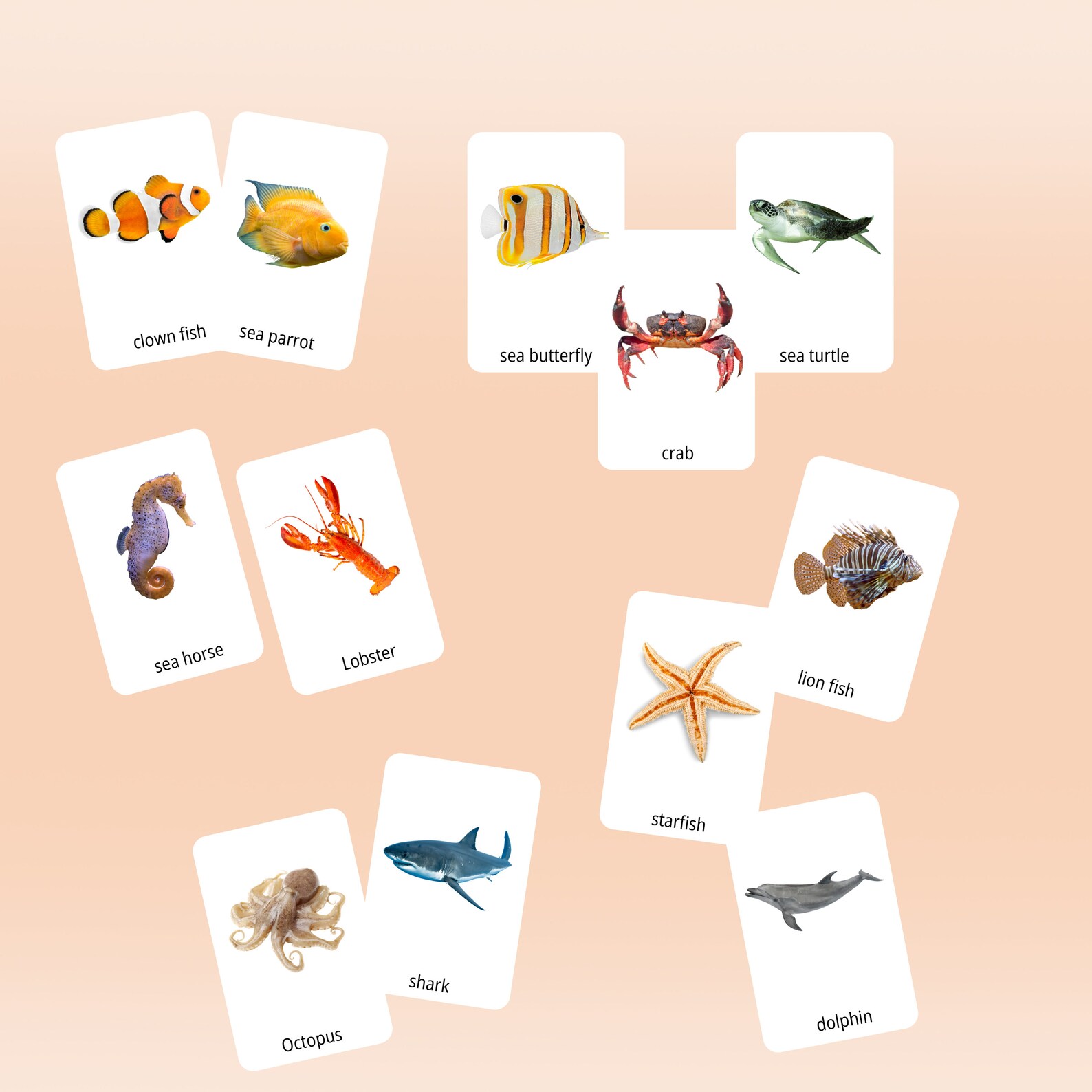 OCEAN ANIMALS / 22 Montessori Cards / Flash Cards / Naming Flashcards ...