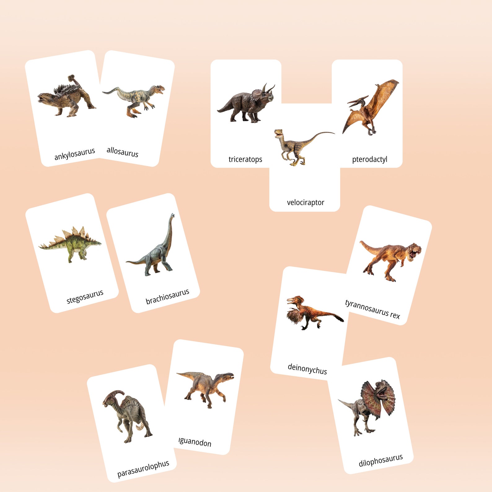 Dinosaurs / 20 Editable Montessori Cards / Flash Cards Naming ...