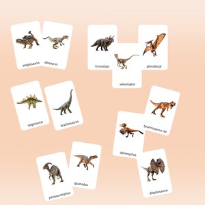 Dinosaurs / 20 Editable Montessori Cards / Flash Cards Naming ...