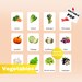 VEGETABLES (real Pictures) - 44 Editable Montessori Cards - Flash Cards ...