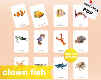 OCEAN ANIMALS 22 Montessori Cards Flash Cards Nomenclature Flashcards ...