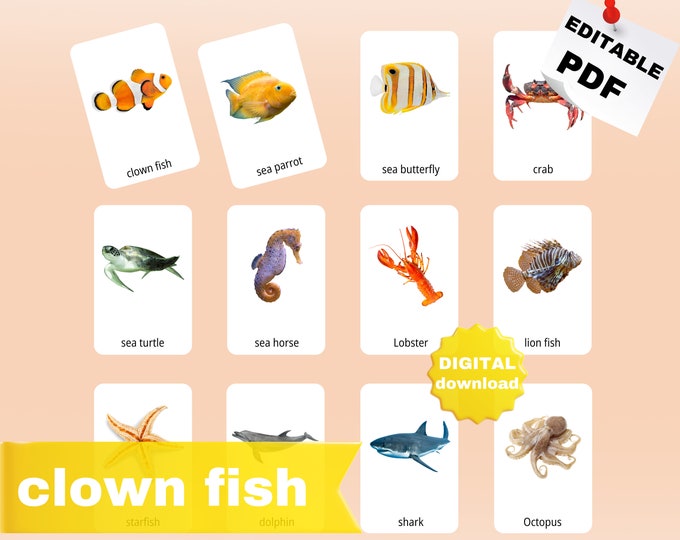Ocean Flash Cards Animal Flash Cards for Toddlers Montessori Homeschool ...