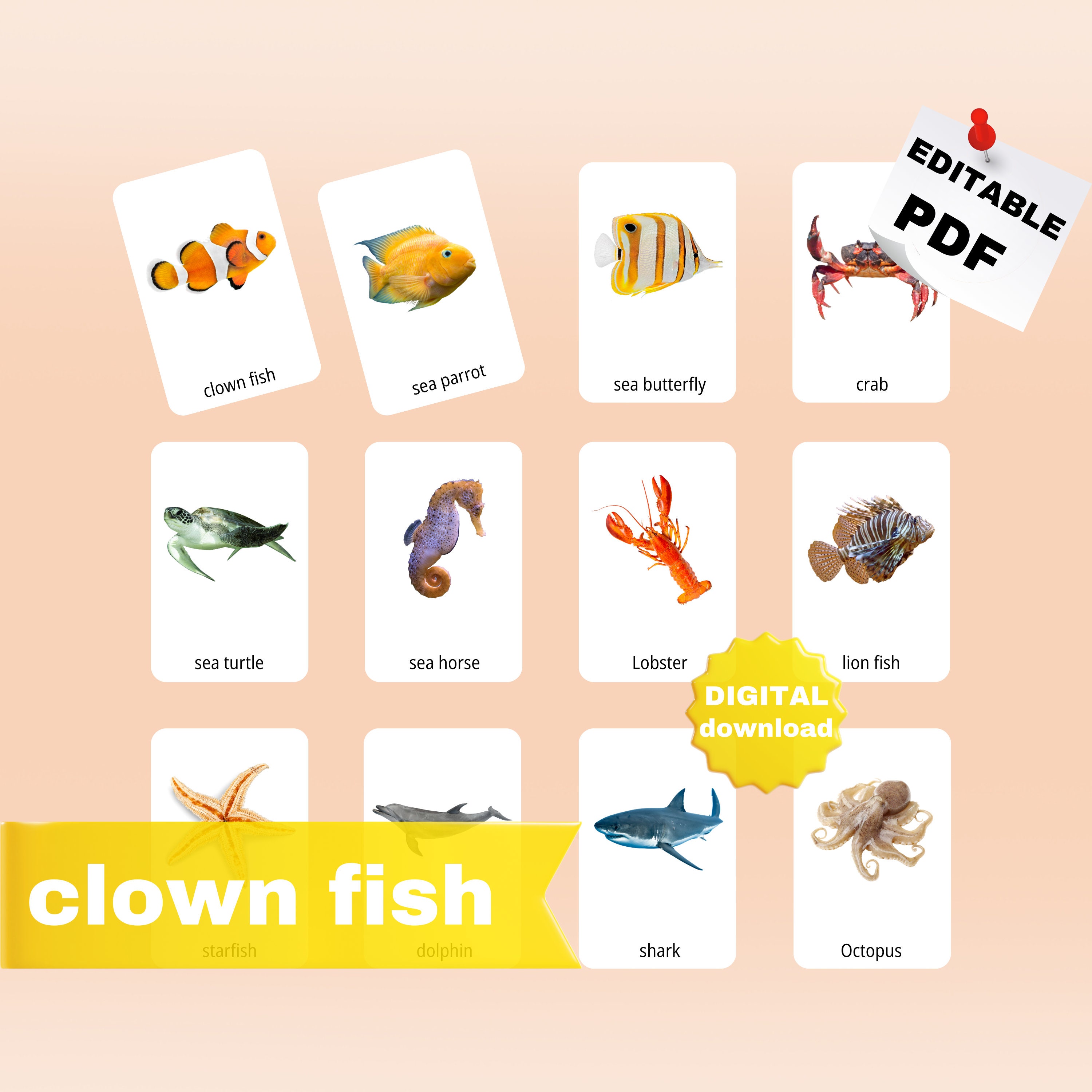 OCEAN ANIMALS / 22 Montessori Cards / Flash Cards / Naming Flashcards ...