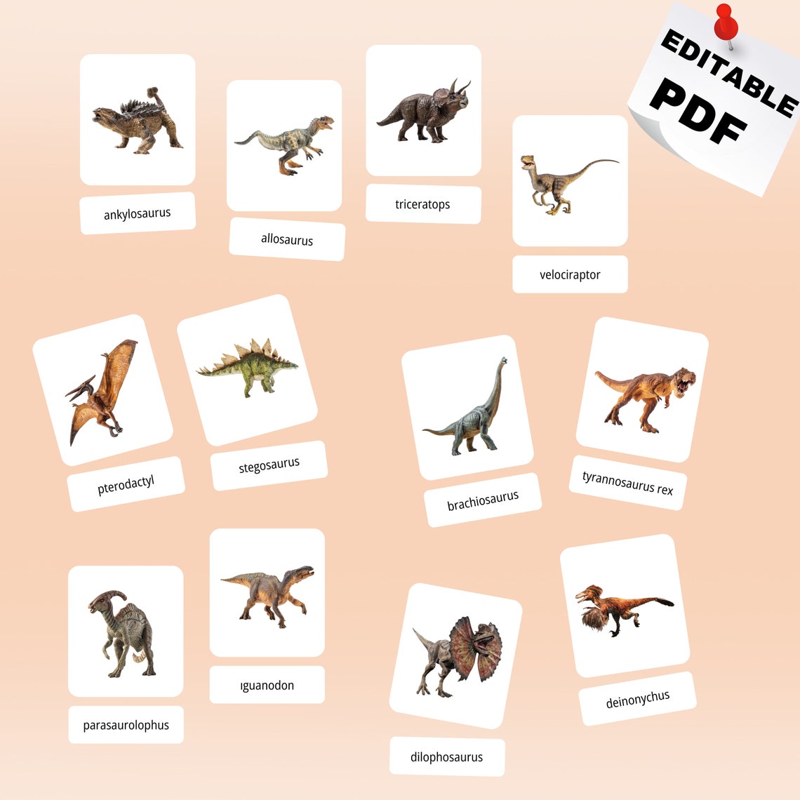 Dinosaurs / 20 Editable Montessori Cards / Flash Cards Naming ...