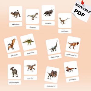 Dinosaurs / 20 Editable Montessori Cards / Flash Cards Naming ...