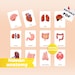 18 Montessori Body Parts / Human Anatomy and Organs / 3-piece Cards ...