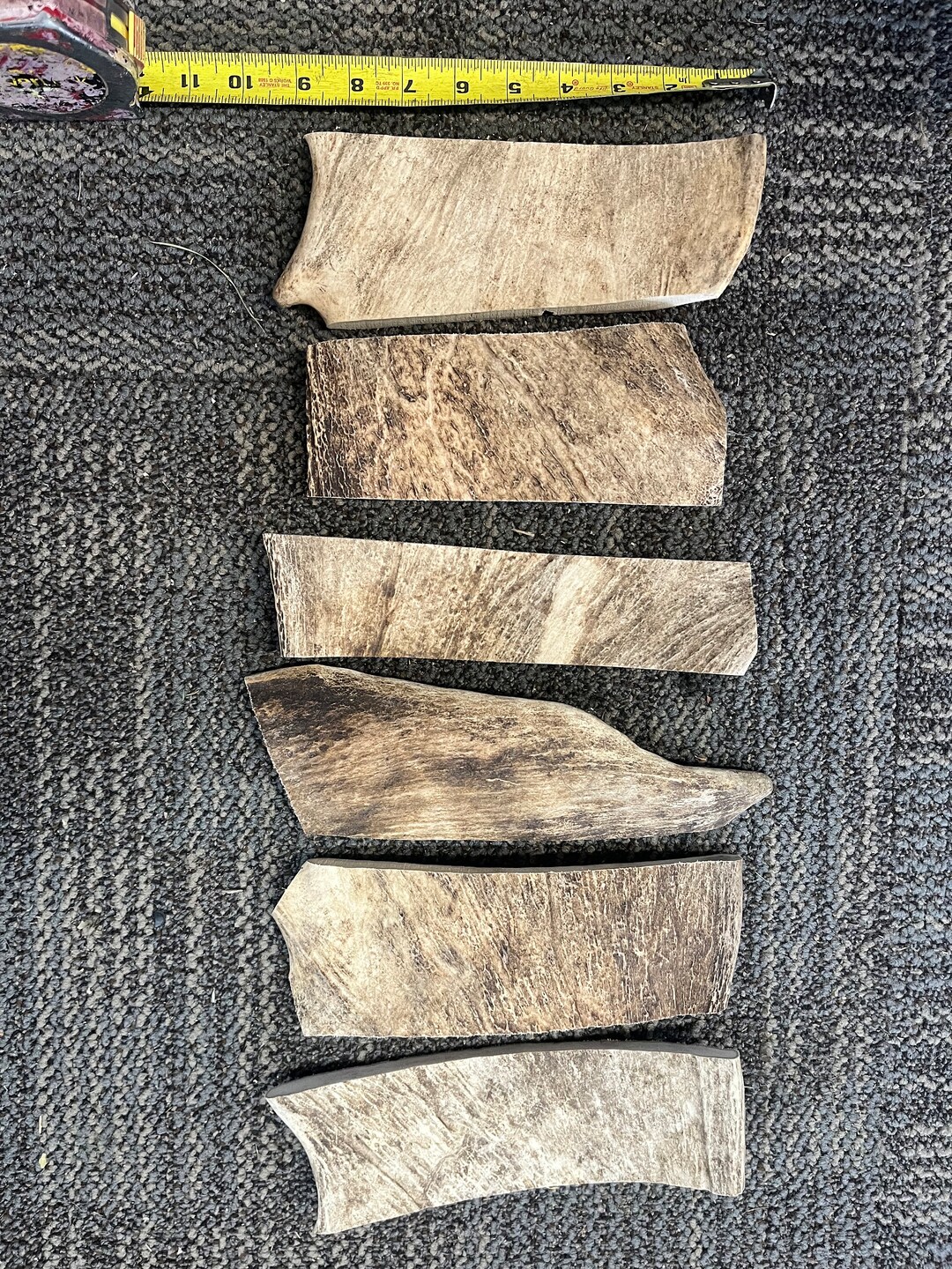 Large Moose Antler Dog Chews (2 Pack) - Etsy