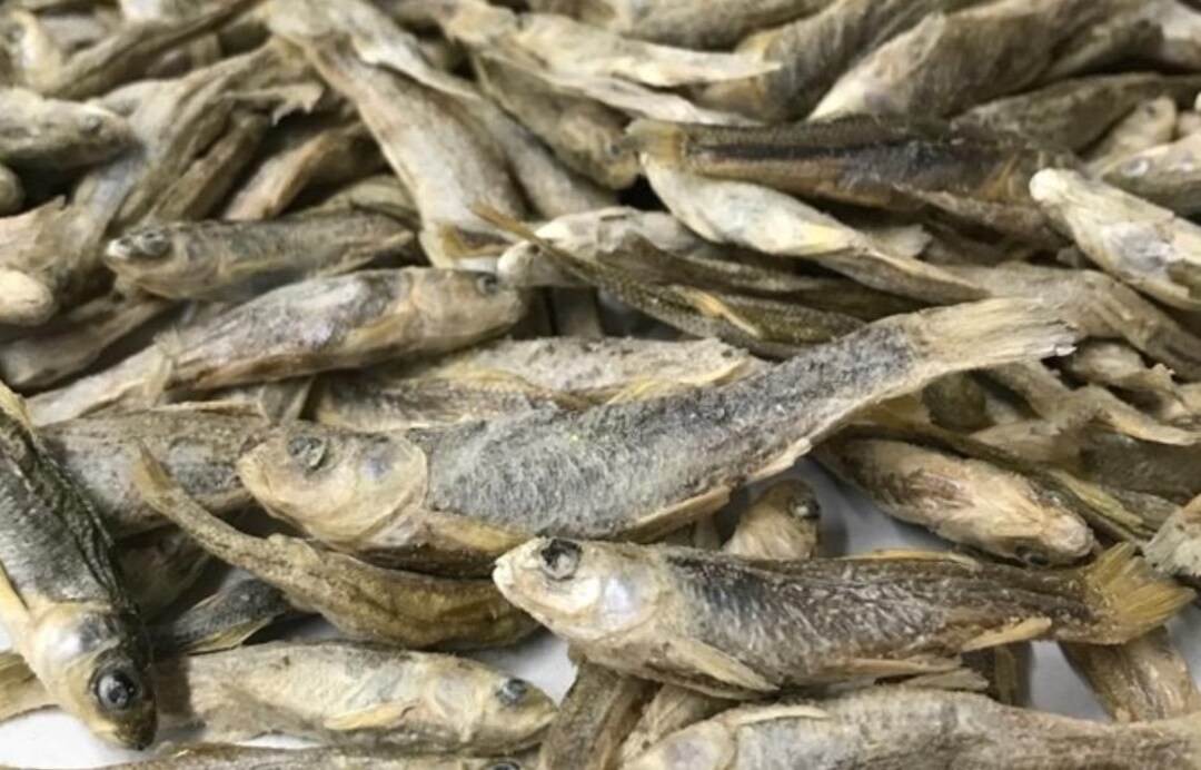 Dehydrated Minnows in Each Pack for Hermit Crabs. Complete Protein. A ...