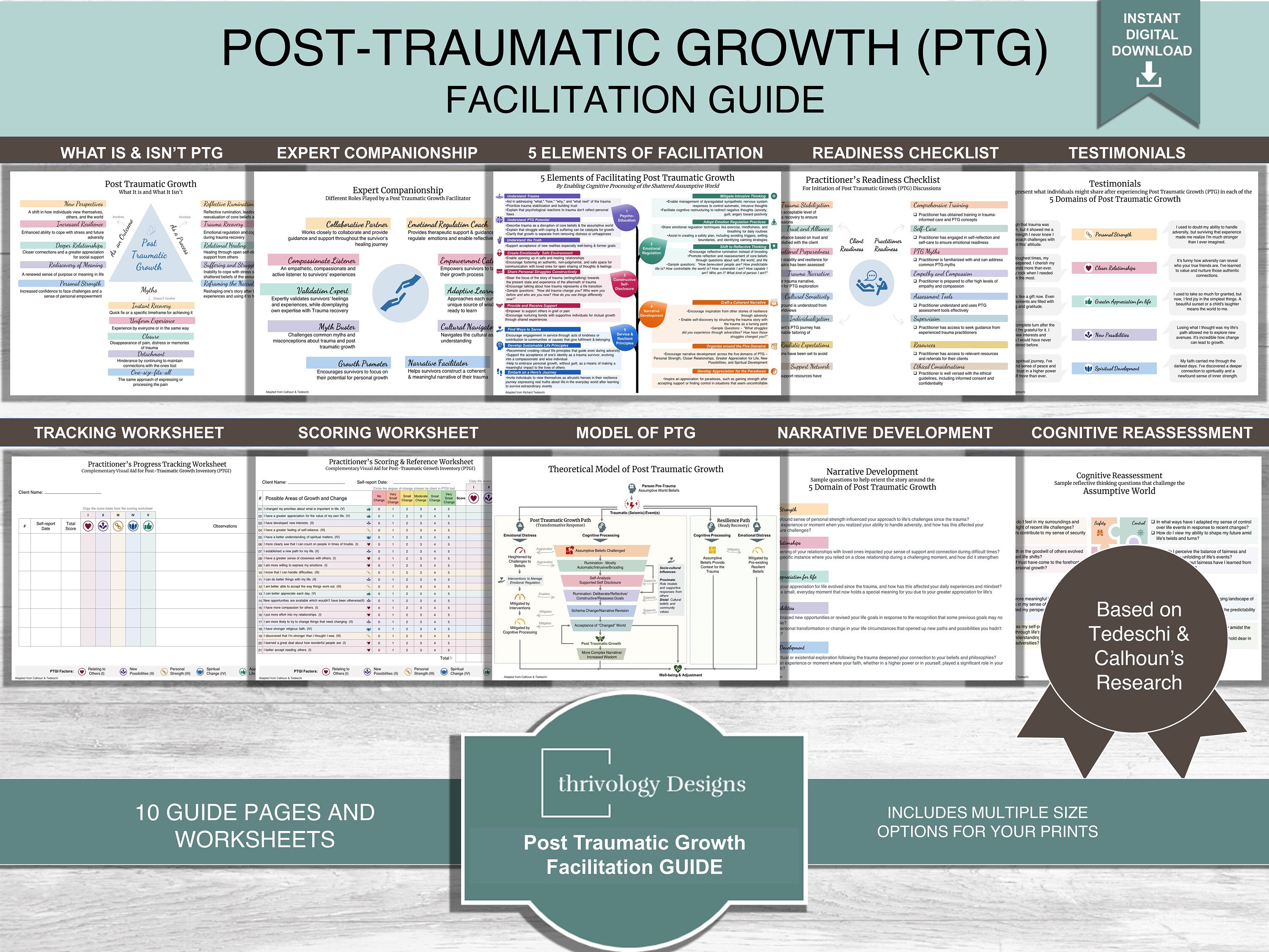 Post-traumatic Growth Bundle of Visual Aids & Guide for Therapists ...