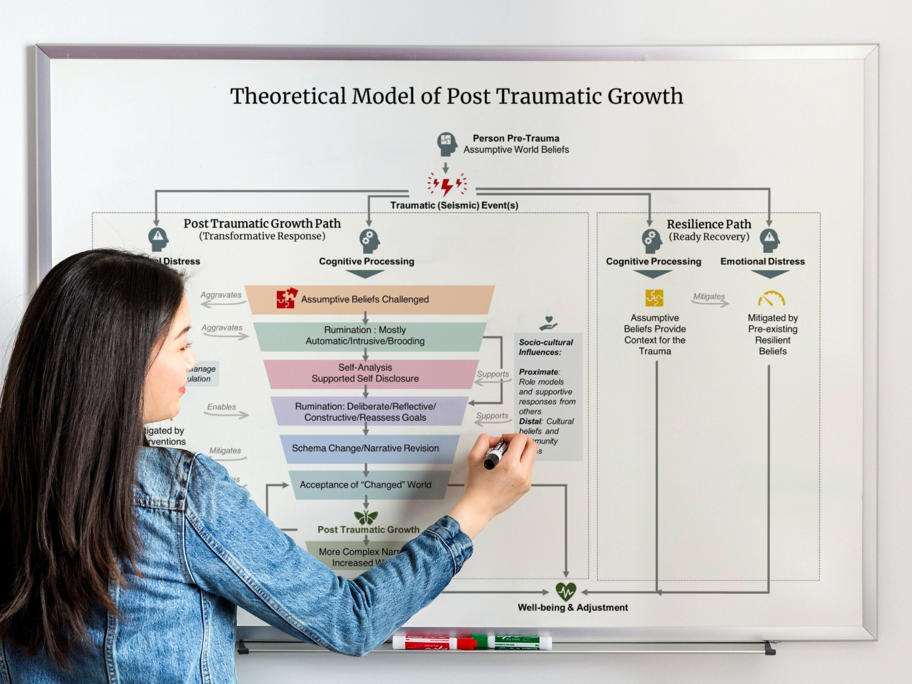 Post-traumatic Growth Model, Therapy Tool, Healthcare Poster (digital ...