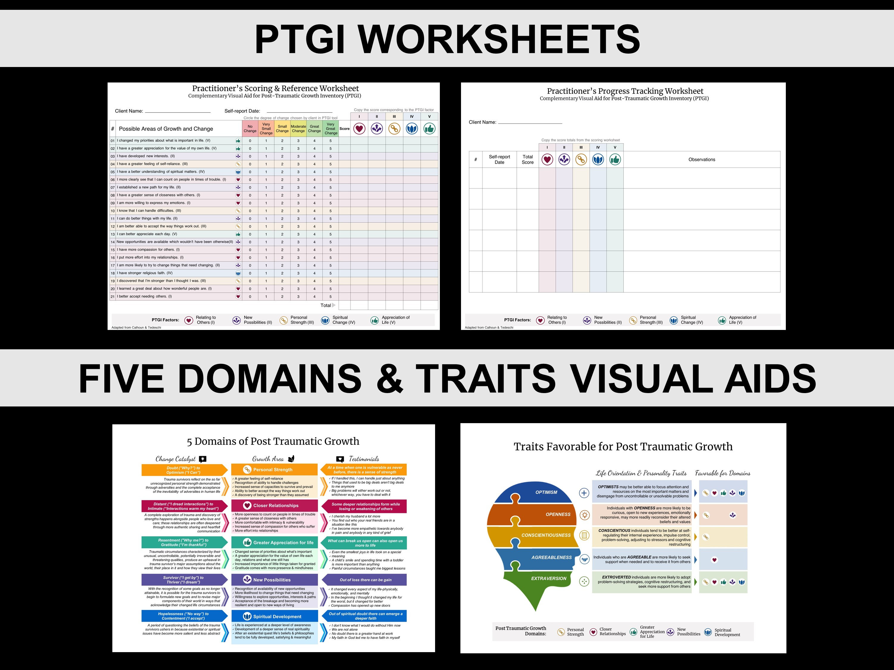 Post-traumatic Growth Bundle of Visual Aids & Guide for Therapists ...