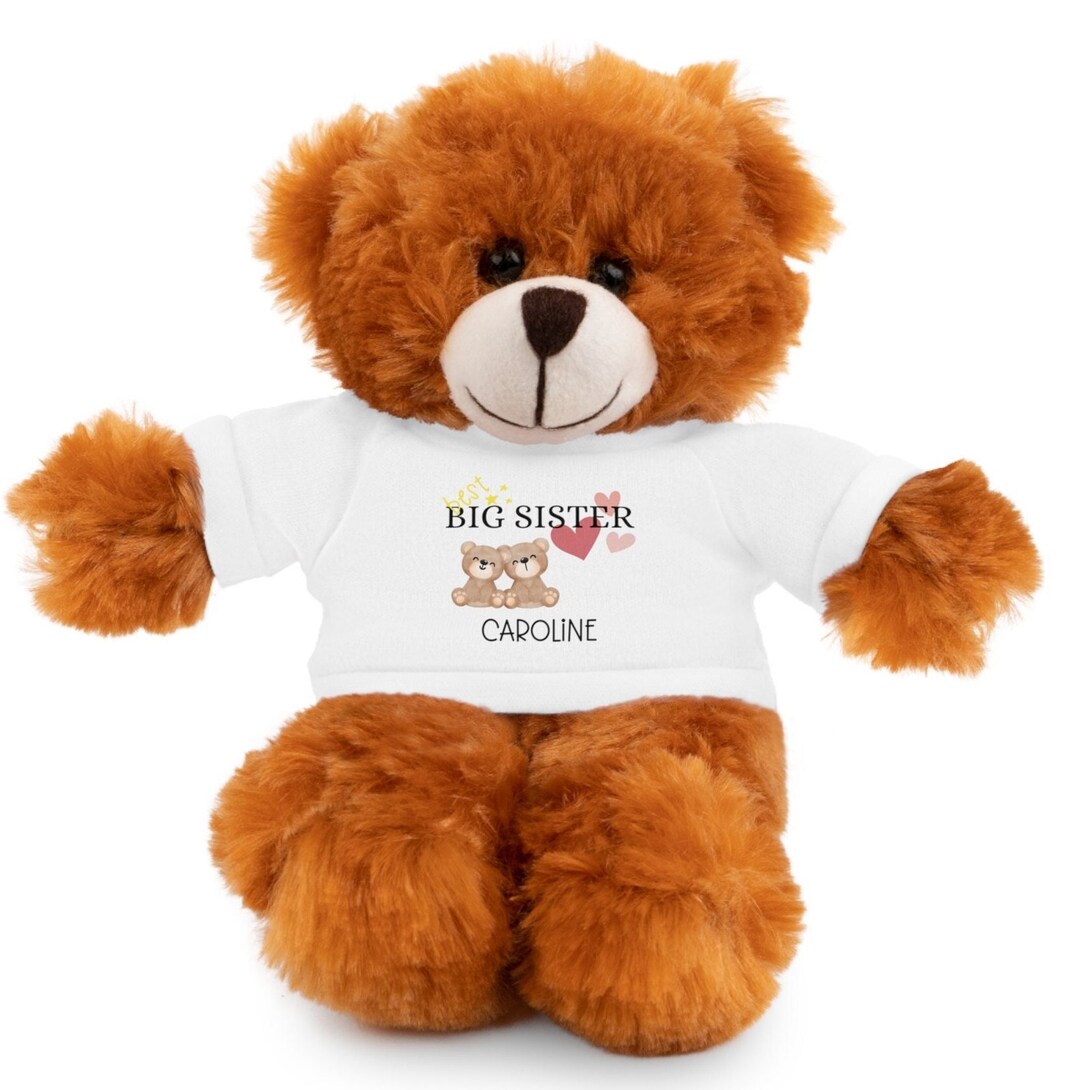 Custom Best Big Sister Stuffed Animal Personalized Gift Sibling Big ...