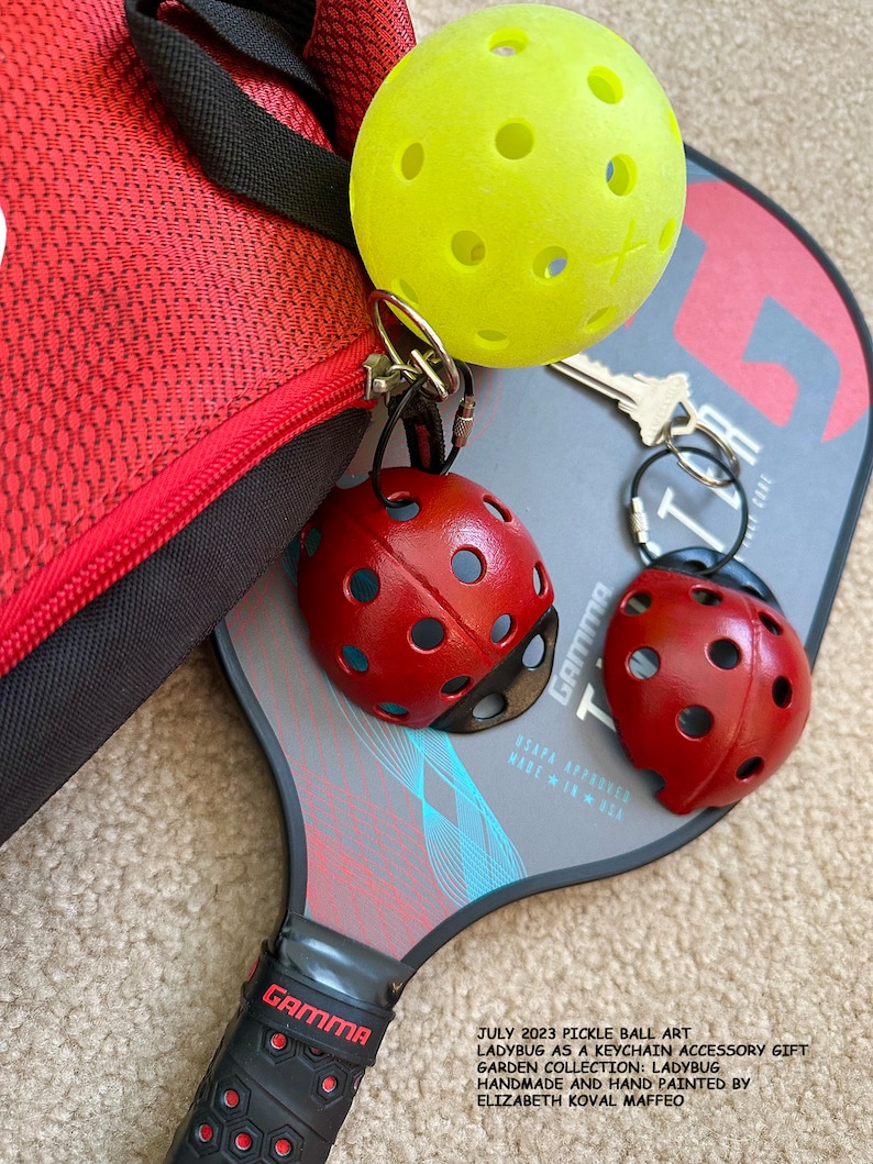 Ladybug - Handmade Recycled Pickleball Art (free-standing) - Etsy