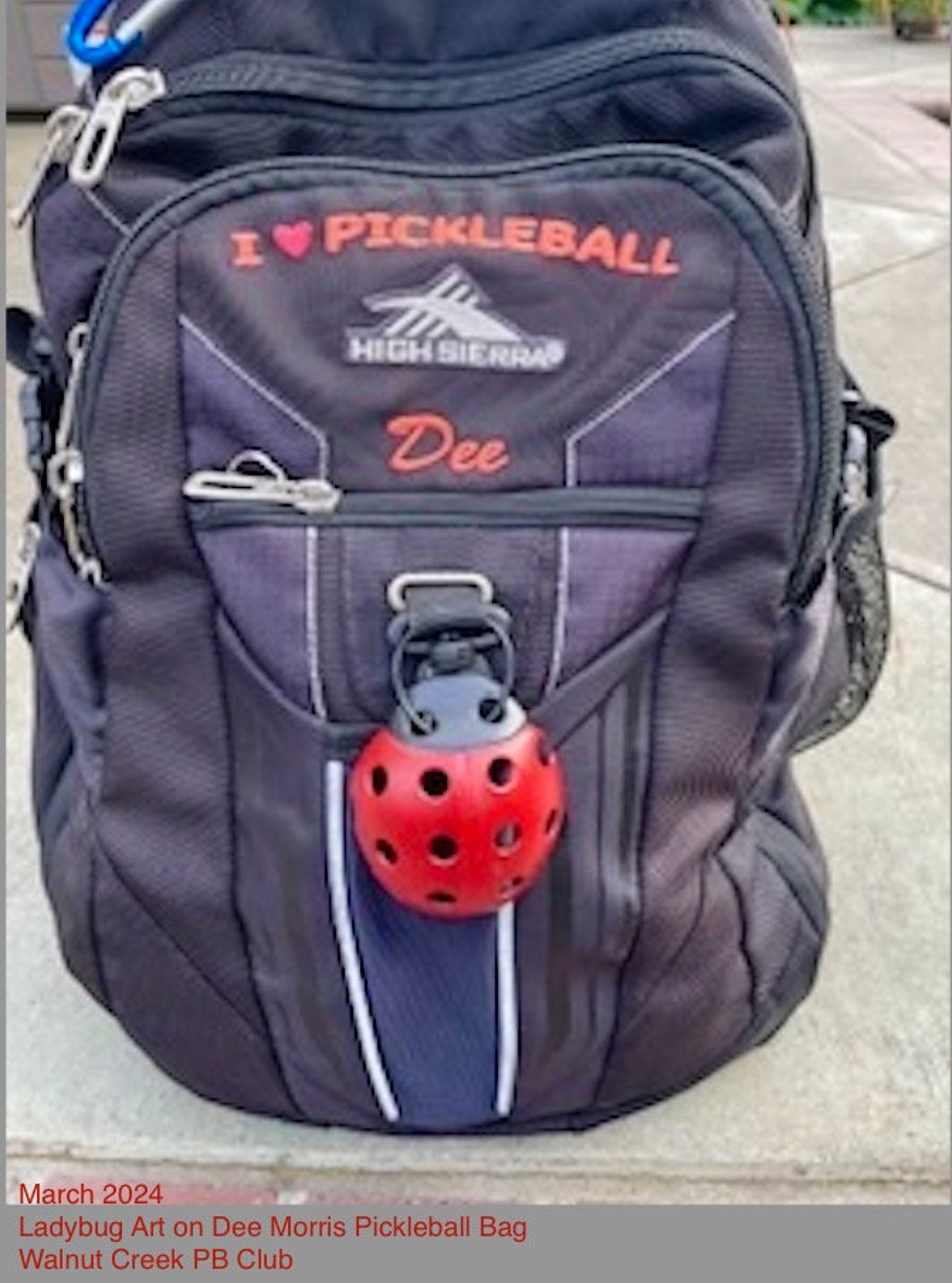 Ladybug - Handmade Recycled Pickleball Art (free-standing) - Etsy