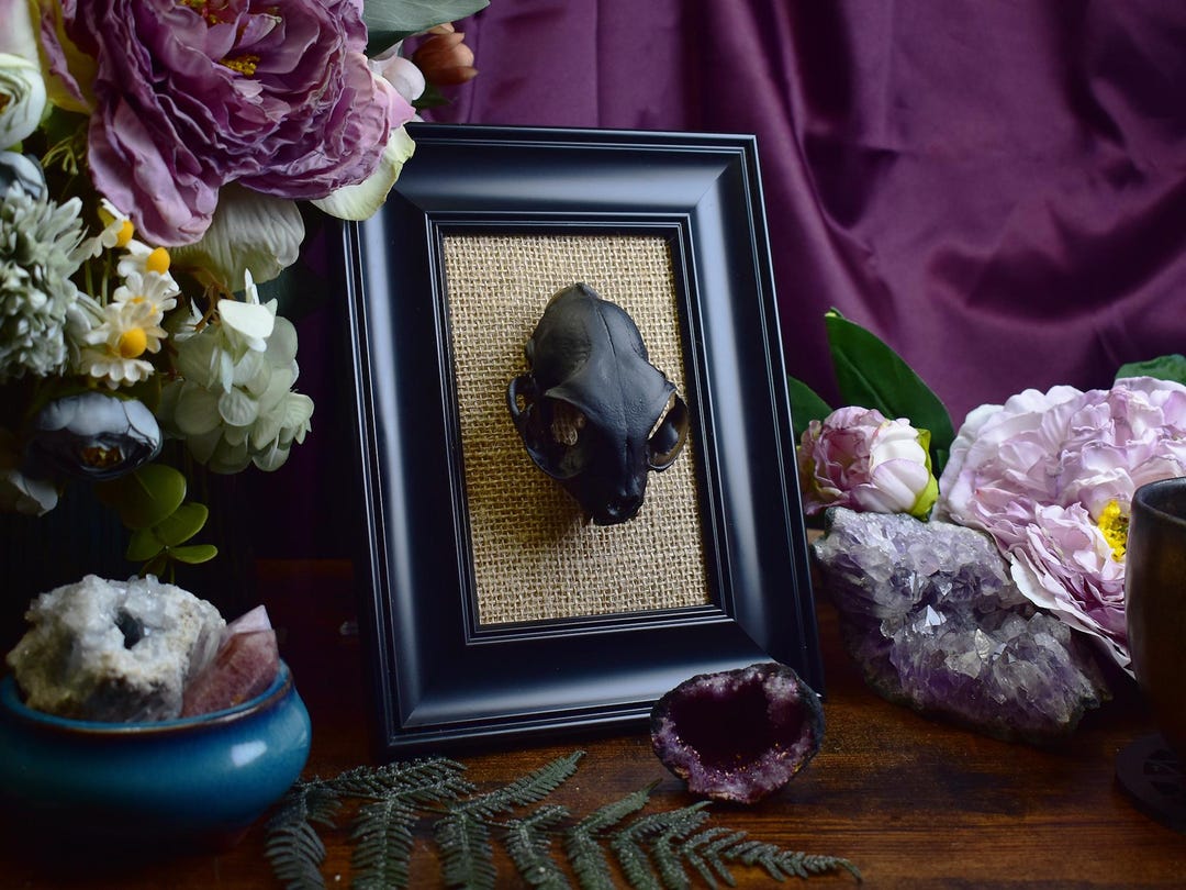 Unique Gothic Frame With 3D Printed Cat Skull, Perfect Goth Home Decor ...