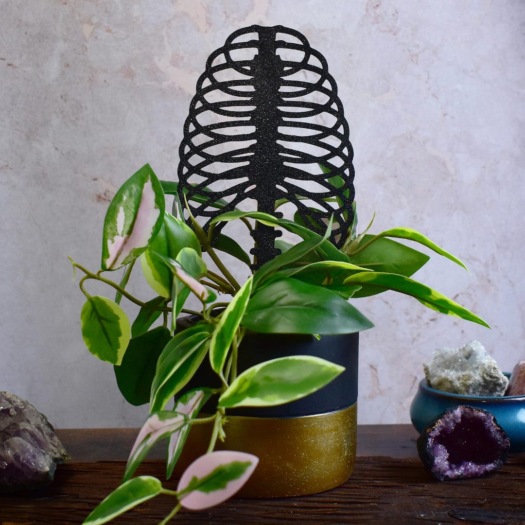 Ribcage Gothic Plant Trellis, 3D Printed Trellis, Garden Decor, Plant ...