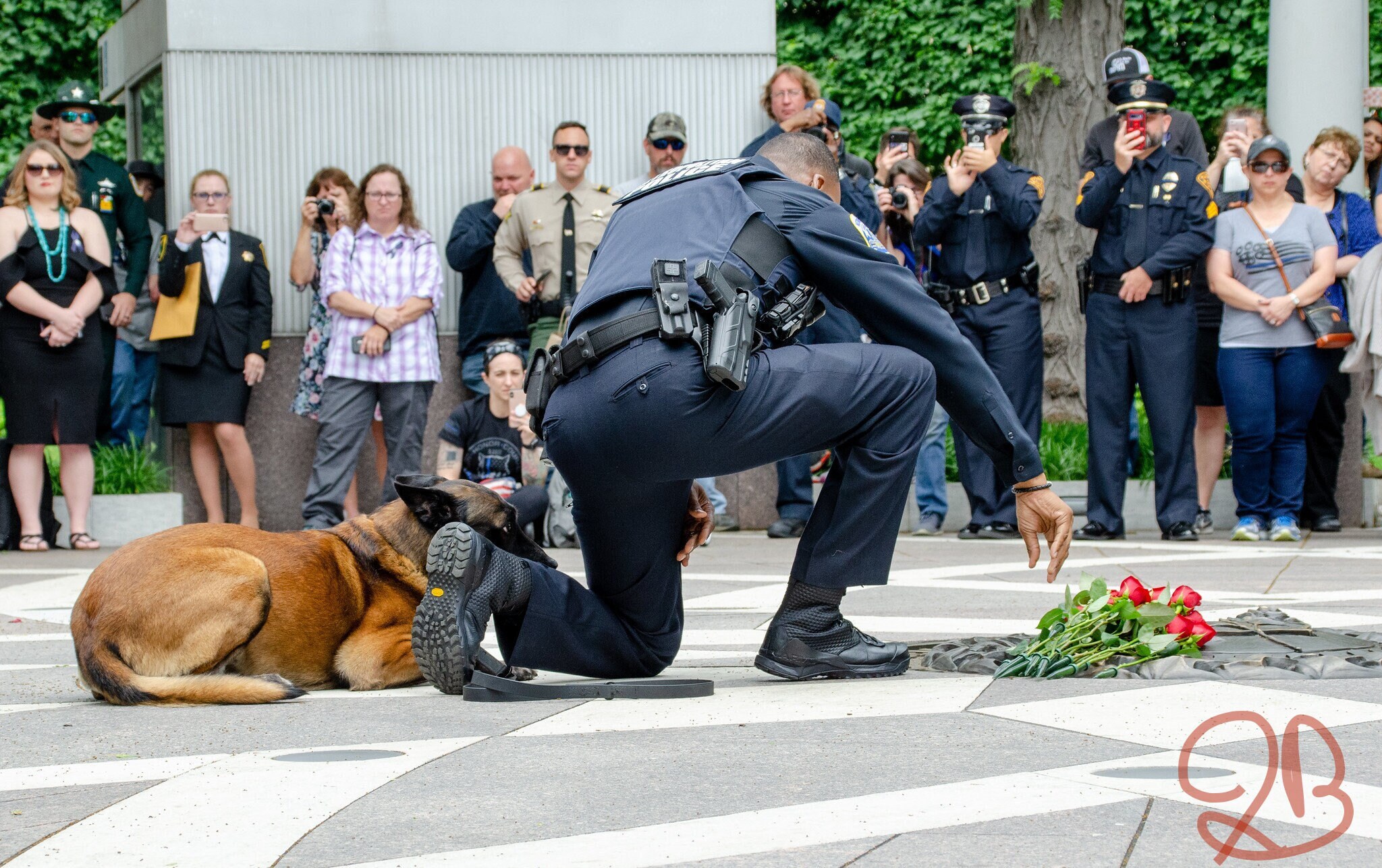 K9 Officer Memorial Police Week - Washington DC - Photo - Etsy
