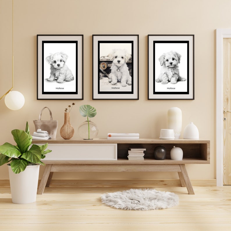Exclusive Maltese Dog Poster Collection 50 Designs in 5 Versatile Sizes ...