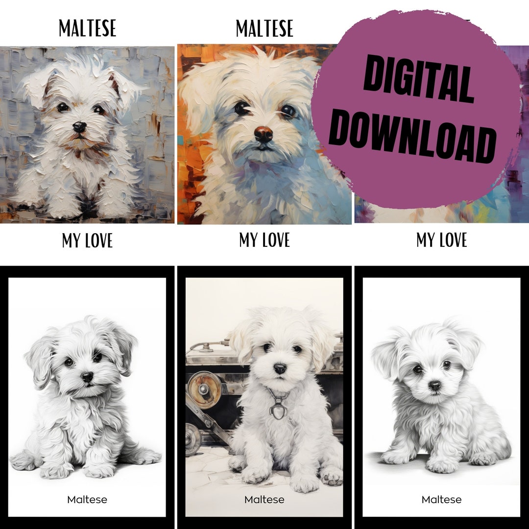Exclusive Maltese Dog Poster Collection – 50 Designs in 5 Versatile ...