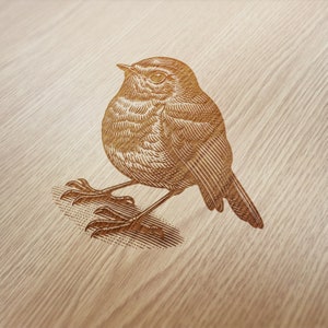 Robin Bird, Lightburn PNG, Lightburn File, Laser Engraving Digital ...