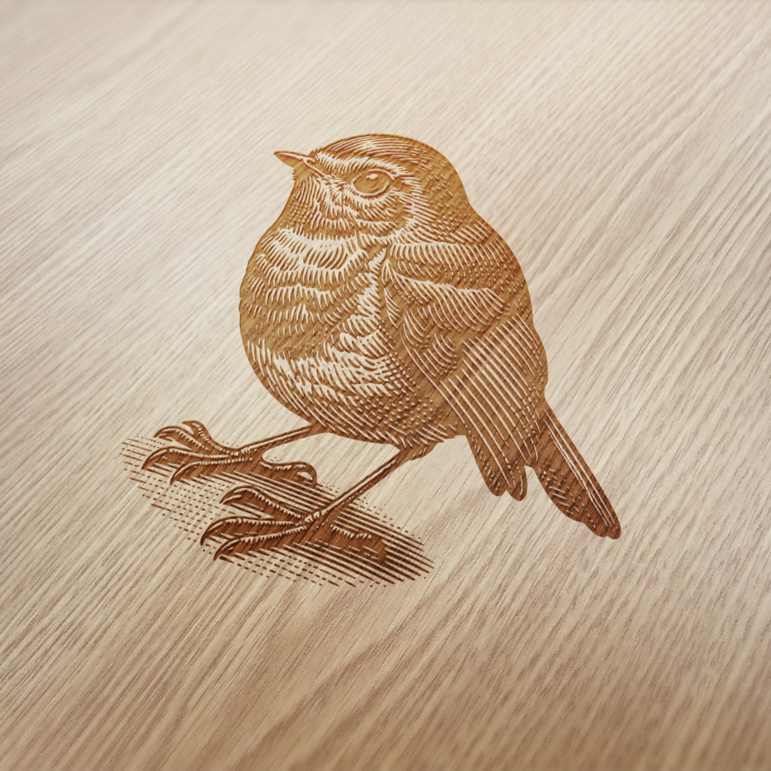 Robin Bird, Lightburn PNG, Lightburn File, Laser Engraving Digital ...